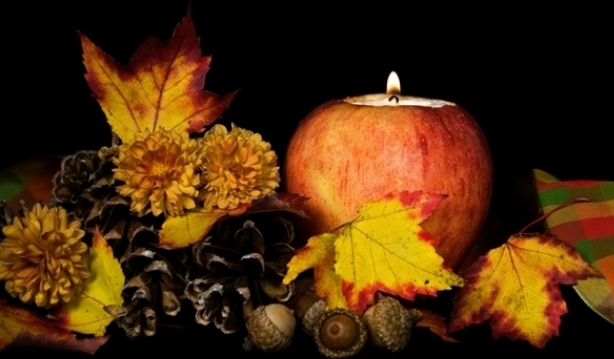 Thanksgiving Decor from Nature - MyGardenLife