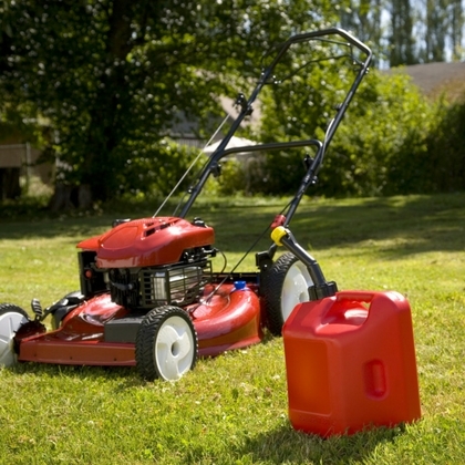 Gardening Tips for Early Spring