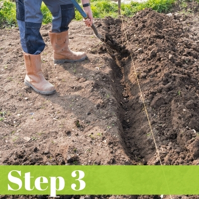 Tips for Raised Garden Beds