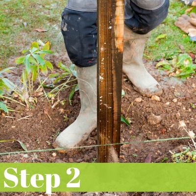 Tips for Raised Garden Beds