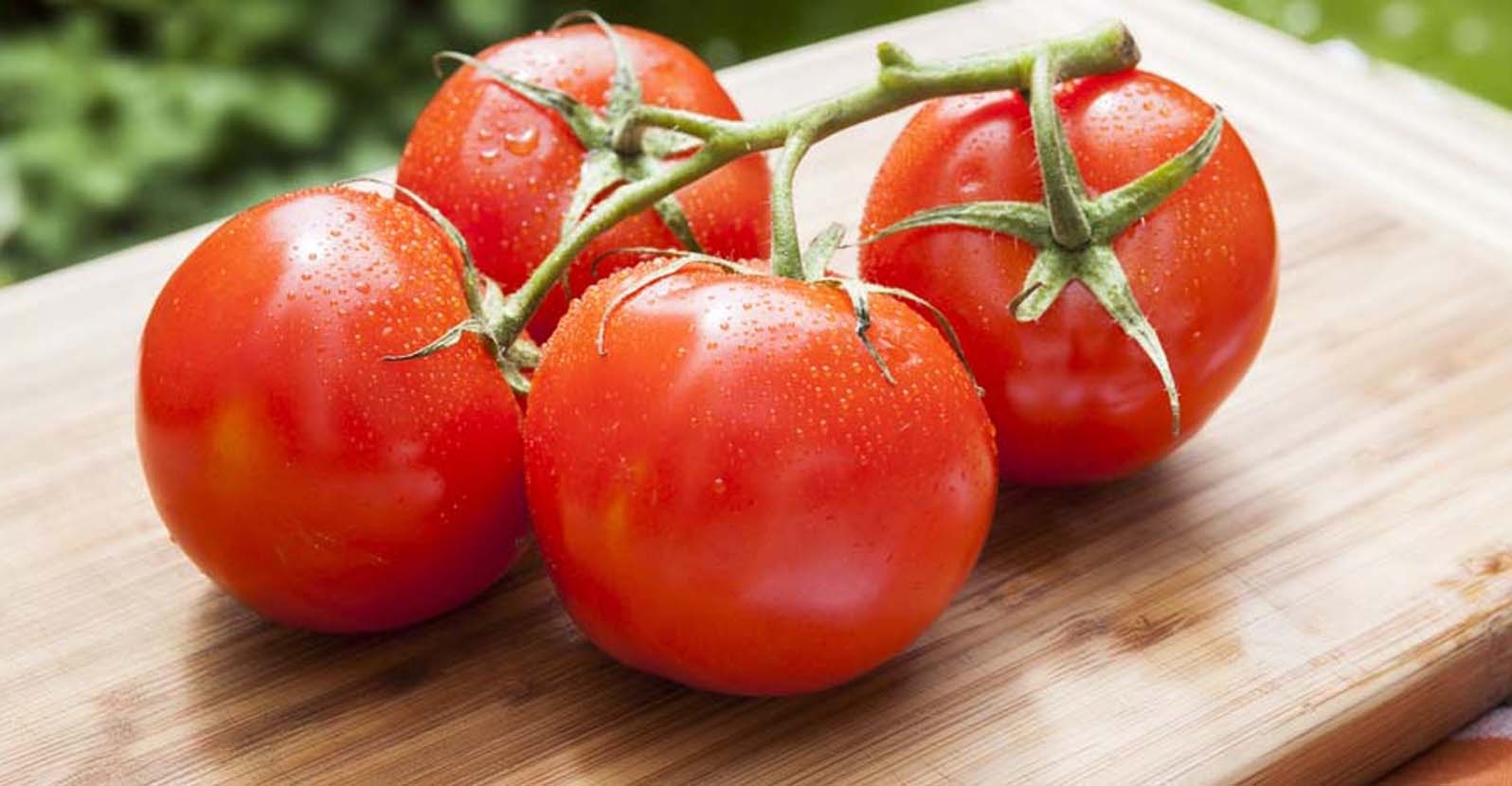 Use Your Summer Harvest: Fresh Tomatoes 5 Ways