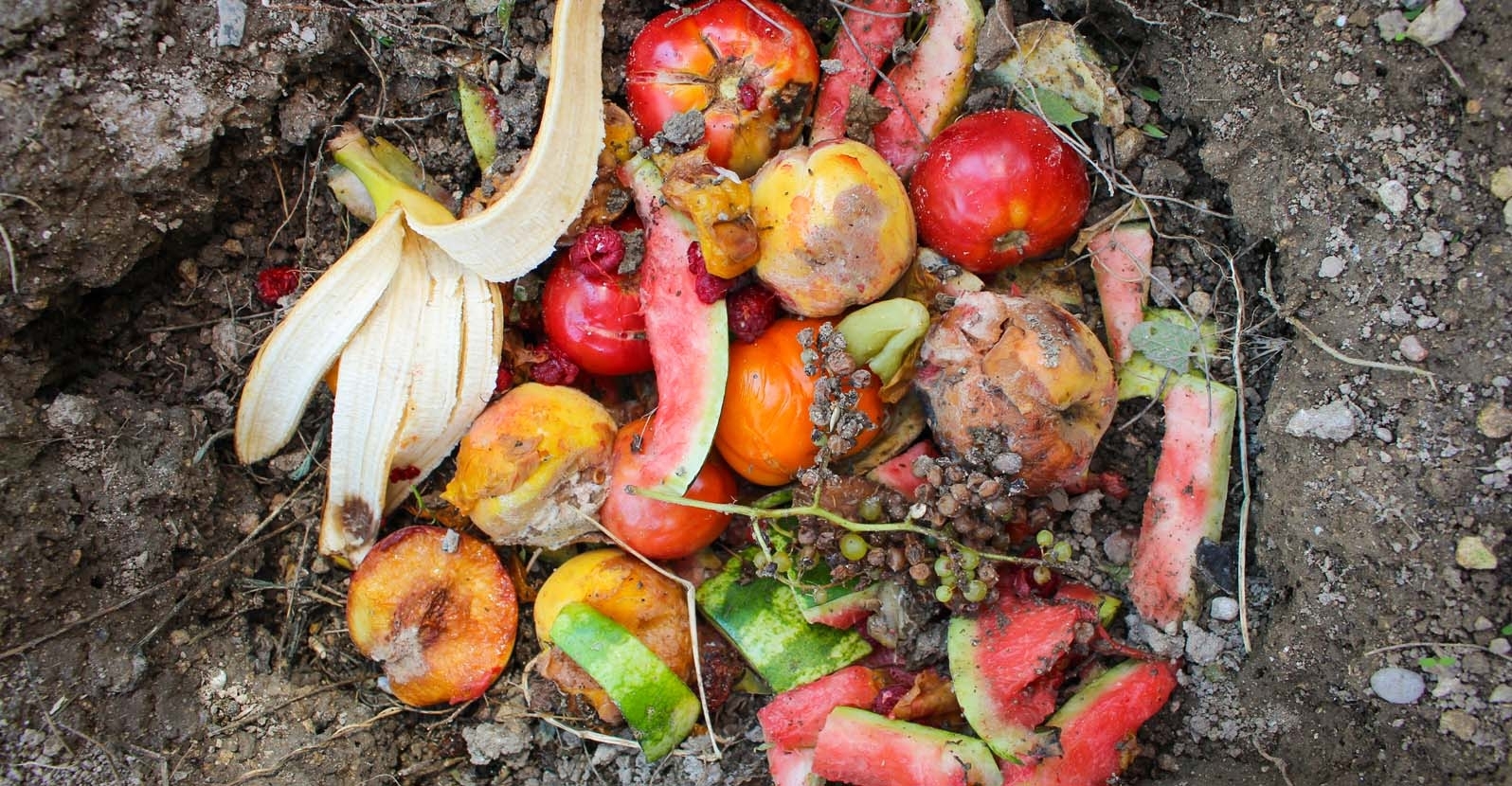 Guide to Direct Composting