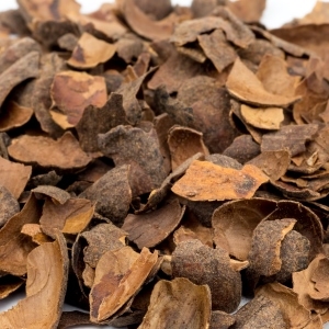 What‚Äôs the Best Type of Mulch for My Landscape?