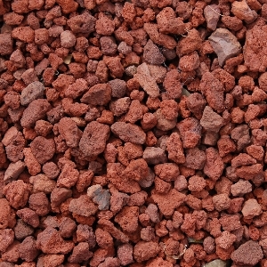 What‚Äôs the Best Type of Mulch for My Landscape?