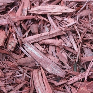 What‚Äôs the Best Type of Mulch for My Landscape?