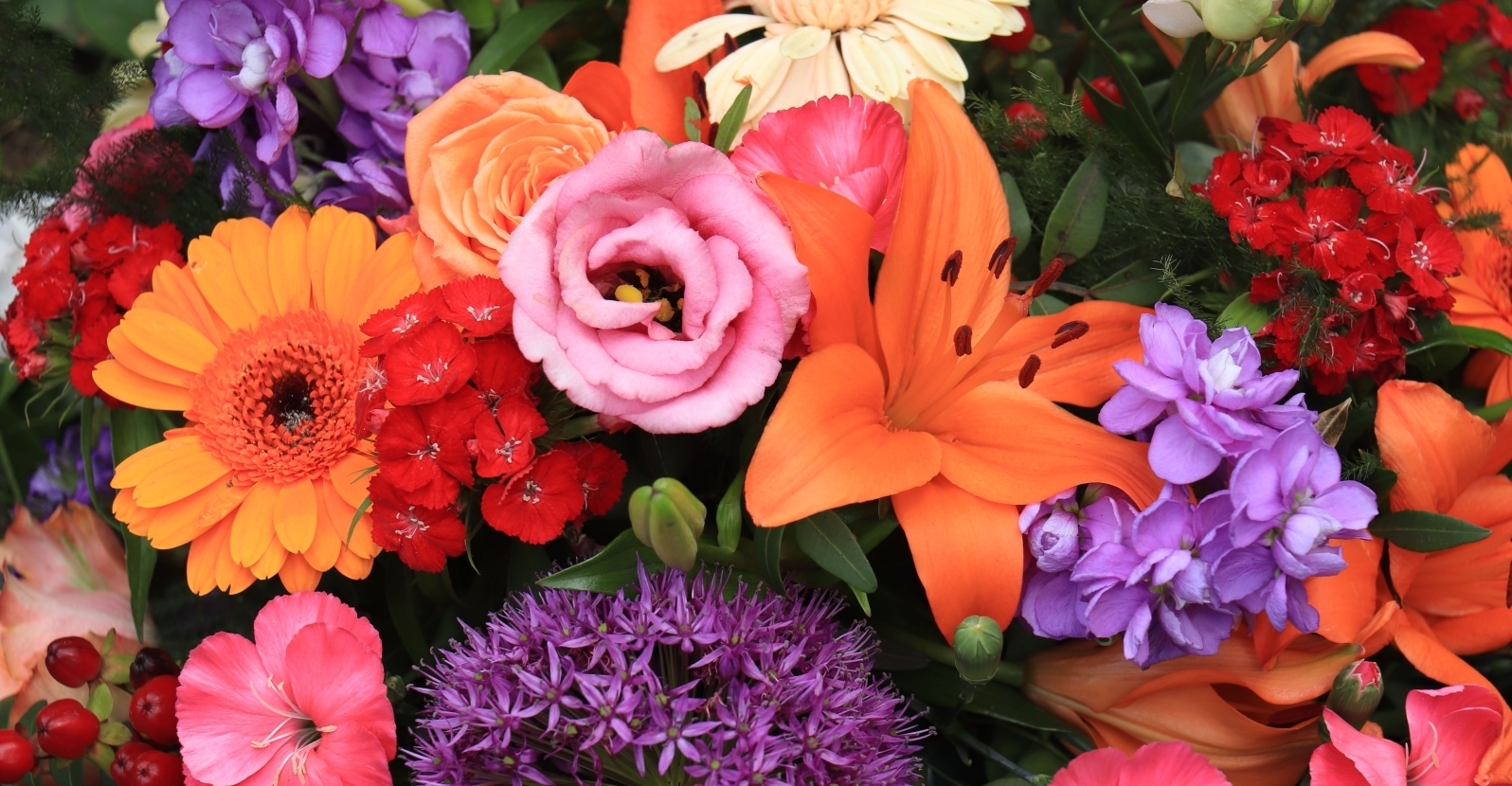 Best Cut Flowers - MyGardenLife