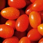 All About Growing Tomatoes